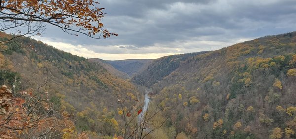 LEONARD HARRISON STATE PARK - 42 Photos & 13 Reviews - 4797 Rte 660 ...