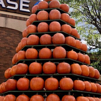 CIRCLEVILLE PUMPKIN SHOW - Updated September 2025 - 285 Photos & 78 ...
