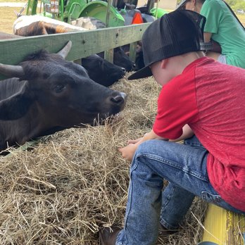 OIL RANCH - Updated March 2025 - 97 Photos & 54 Reviews - 23501 ...