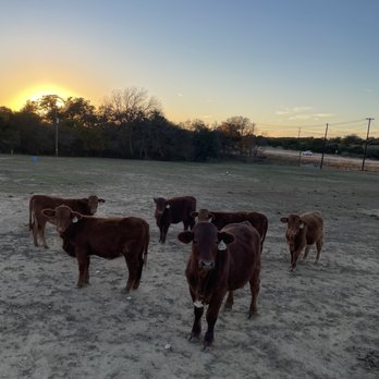 REAGANS RIDGE RV - Updated October 2025 - 28 Photos - 26690 Ronald ...