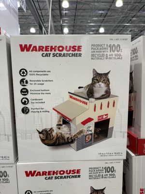 COSTCO - Updated July 2025 - 10 Reviews - 3173 S Kanner Hwy, Stuart ...