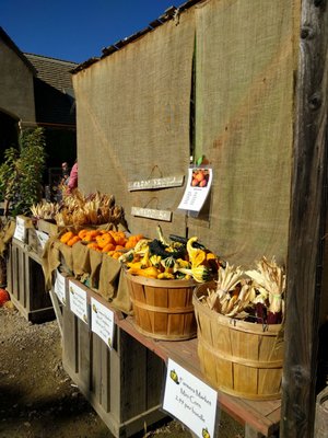 ALDEN LANE NURSERY - 308 Photos & 180 Reviews - Nurseries & Gardening ...