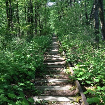 AL BORLIN PARK - Updated August 2025 - 27 Photos & 11 Reviews - 615 ...