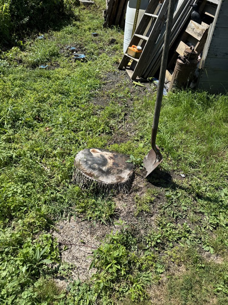 TERRAFIRMA LANDSCAPING AND TRACTOR SERVICE - Updated October 2025 - Canastota, New York ...