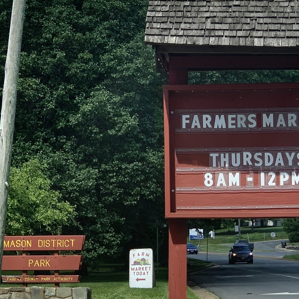 MASON DISTRICT PARK - Updated October 2024 - 36 Photos & 35 Reviews ...