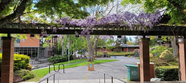 SHORELINE COMMUNITY COLLEGE - Updated January 2026 - 45 Photos & 46 ...