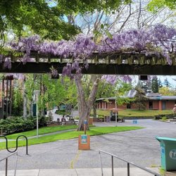 SHORELINE COMMUNITY COLLEGE - 43 Photos & 35 Reviews - 16101 Greenwood ...