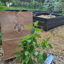 MILL CITY PUBLIC HOUSE - Updated July 2025 - 110 Photos & 96 Reviews ...