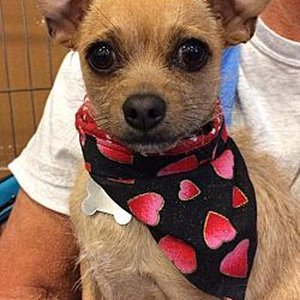 ACADEMY WEST ANIMAL HOSPITAL - Updated February 2025 - 20 Photos & 74 ...