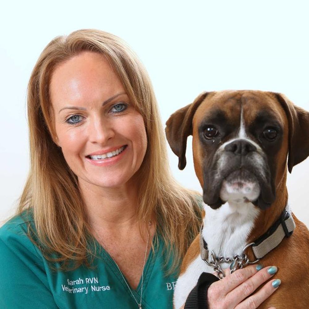 Philip Bareham's Instagram, Twitter & Facebook on IDCrawl