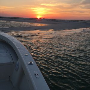 NORTH ANCLOTE SANDBAR - Odessa, Florida - Beaches - Yelp