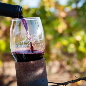 WILLIAMSON WINES YOAKIM BRIDGE ESTATE - Updated June 2024 - 38 Photos ...