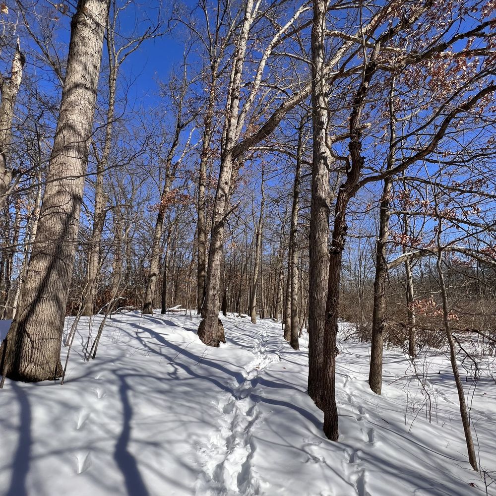 COOPERRIDER-KENT BOG STATE NATURE PRESERVE - Updated July 2025 - 1028 ...