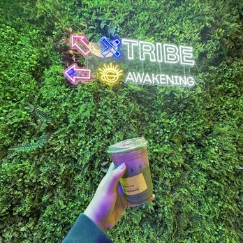 AWAKENING - Updated July 2024 - 602 Photos & 332 Reviews - 231 S La ...