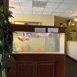 HUNAN DYNASTY - Updated January 2026 - 300 Photos & 316 Reviews - 215 ...