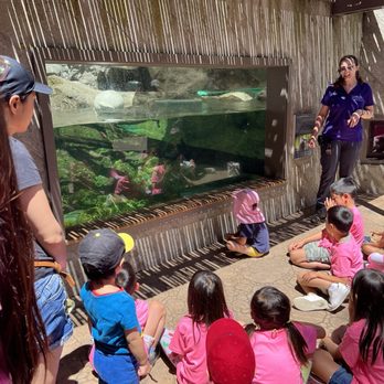 CURIODYSSEY - Updated July 2025 - 911 Photos & 355 Reviews - 1651 ...