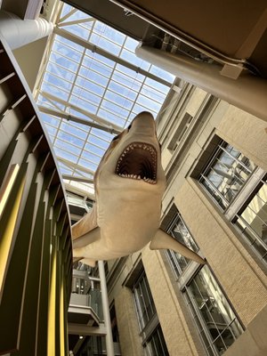 ATRIUM CAFE - Updated August 2025 - 49 Photos & 110 Reviews - 400 ...