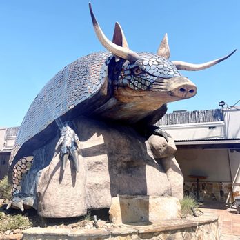 GOODE COMPANY ARMADILLO PALACE - Updated July 2024 - 249 Photos & 226 ...