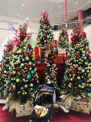 WESTFIELD COUNTRYSIDE - Updated March 2026 - 175 Photos & 118 Reviews - 27001 US Hwy 19 N ...