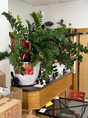 CHEF LI - Updated October 2025 - 175 Photos & 236 Reviews - 4013 Tampa ...