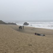COWELL RANCH BEACH - 564 Photos & 78 Reviews - Hwy 1, Half Moon Bay ...