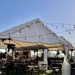 BACARI PDR - Updated January 2026 - 2592 Photos & 2568 Real Reviews ...