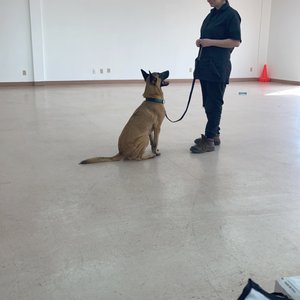 SAN FRANCISCO STABLES - Updated September 2024 - 18 Photos - 1114 Casad ...