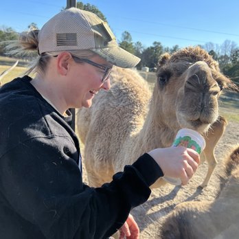 ALOHA SAFARI ZOO - Updated February 2025 - 396 Photos & 174 Reviews ...