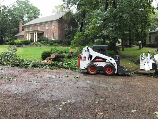 ADAMS TREE SERVICE - Updated December 2025 - 1908 W Tuliptree Dr SE ...