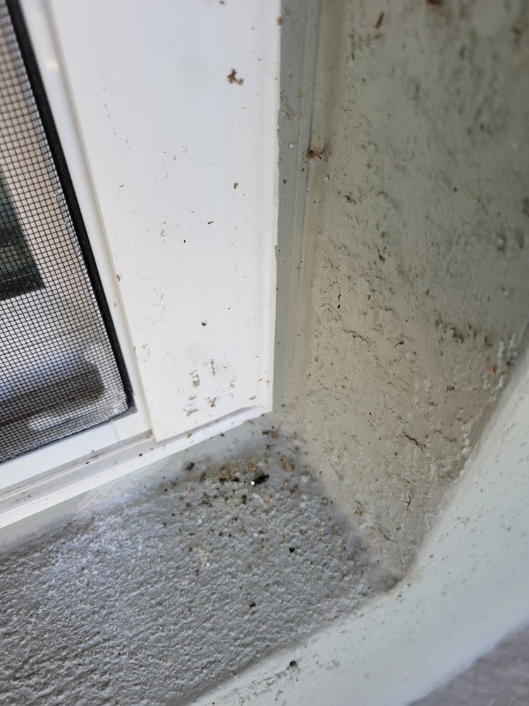 SPIRE PEST CONTROL - Updated August 2025 - Orlando, Florida - Pest ...