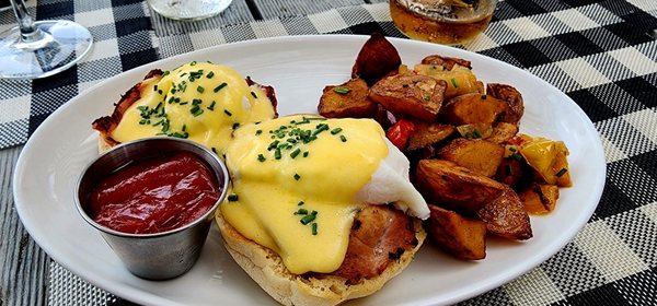 WHITE DOG CAFE - WAYNE - 786 Photos & 746 Reviews - 200 W Lancaster Ave ...