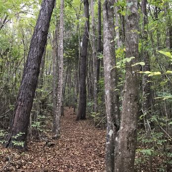 WAIHOU SPRING TRAIL - Updated December 2025 - 70 Photos & 22 Reviews ...