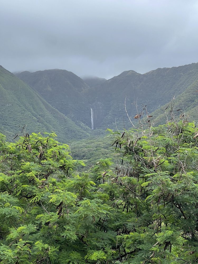 HALAWA BEACH PARK - Updated December 2025 - 63 Photos & 10 Reviews ...