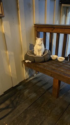 YOSEMITE BUG RUSTIC MOUNTAIN RESORT - 111 Photos & 266 Reviews - 6979A ...