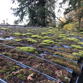 MOSS BUSTERS - Updated December 2024 - 60 Photos & 210 Reviews - 10367 ...