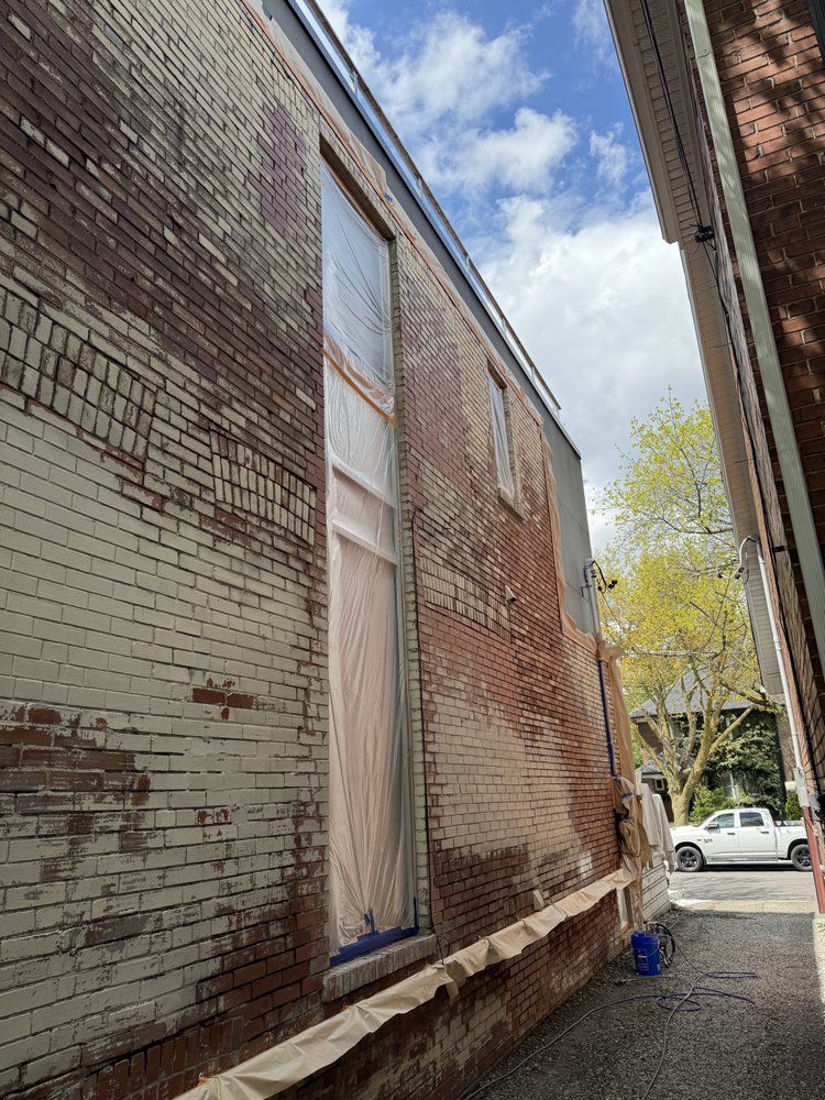 REVIVE PAINTING - Updated October 2025 - 11 Photos - Toronto, Ontario ...