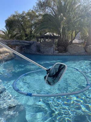 AZURE KNIGHTS POOL SERVICE - Updated November 2025 - Spring Valley ...