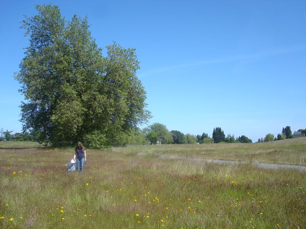 ITTY BITTY CAMPS - Seattle, Washington - Summer Camps - Phone Number - Yelp