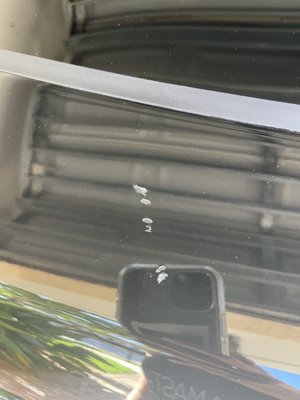 THE GREEN TURTLE LUXURY HAND CAR WASH - Updated January 2026 - 38 ...