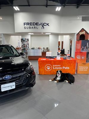 FREDERICK SUBARU - Updated January 2026 - 40 Reviews - 1417 W Patrick ...