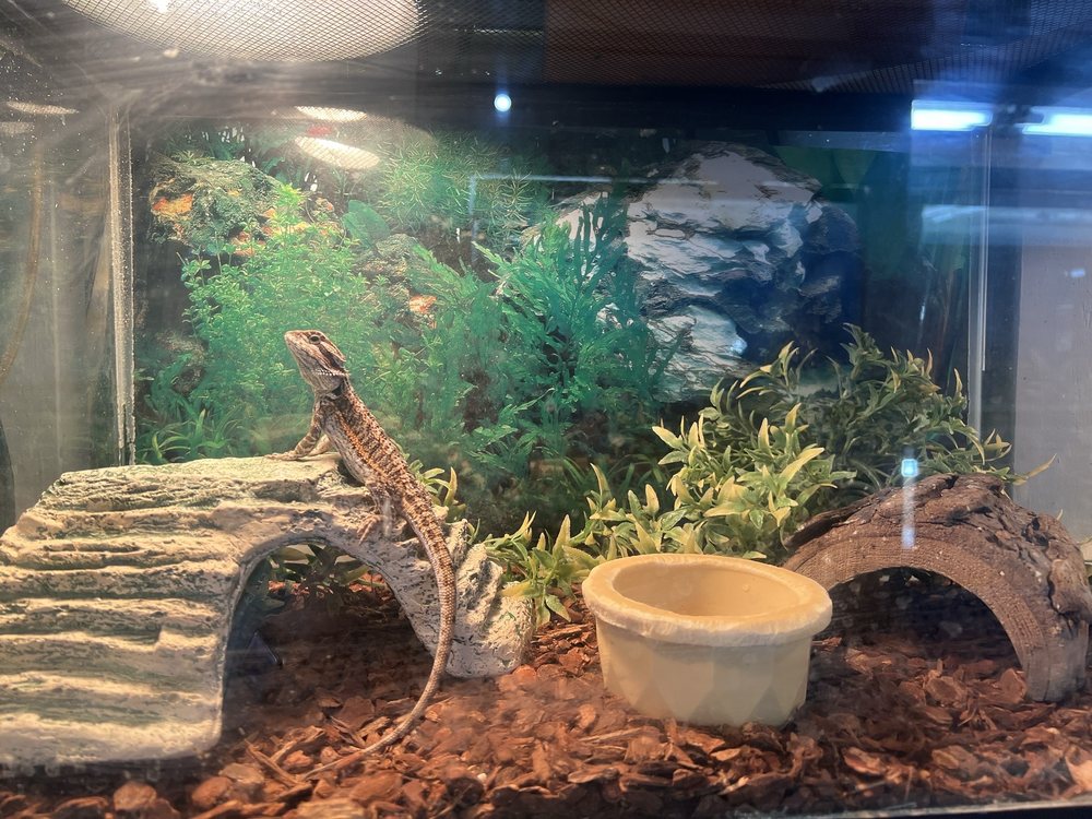 MORRISON’S PETS - Updated December 2025 - 2004 Locust St S, Canal ...