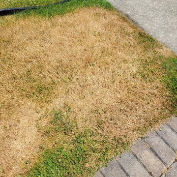 VANDJ LANDSCAPING & SERVICES - Updated January 2026 - 14 Photos & 40 ...