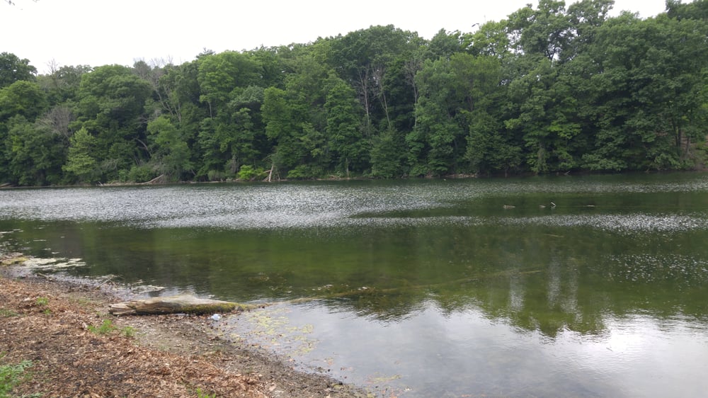 PINHOOK PARK - Updated July 2024 - 11 Photos - 2801 Riverside Dr, South ...