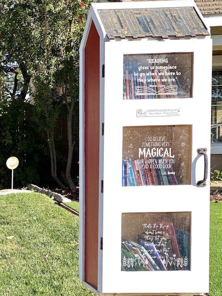 LITTLE FREE LIBRARY - Updated November 2025 - 30212 Chester Morrison ...