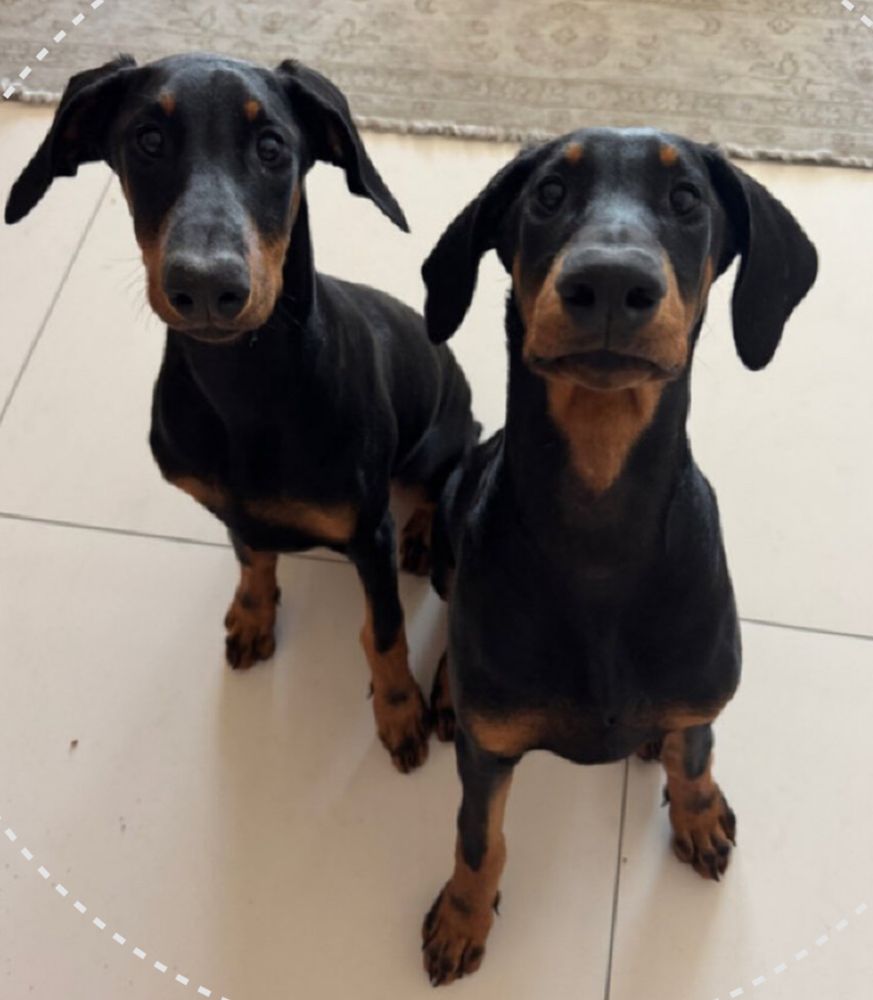 FOREST GREEN MOBILE NOTARY - Updated July 2025 - Irvine, California ...