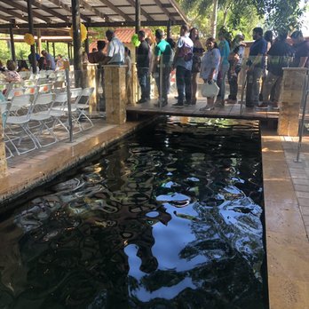 DUNI’S FARM - Updated October 2025 - 17 Photos - 15885 SW 246th St ...