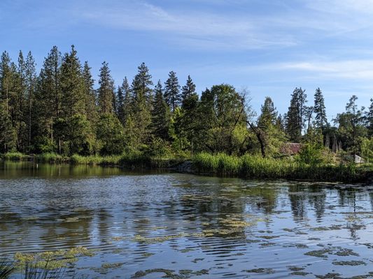 NEVADA COUNTY FAIRGROUNDS - Updated April 2026 - 138 Photos & 74 ...