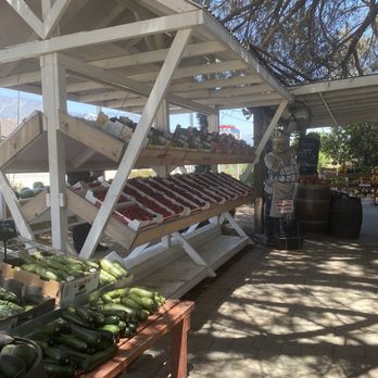 PRANCERS FARM - Updated December 2025 - 173 Photos & 51 Reviews - 18540 ...