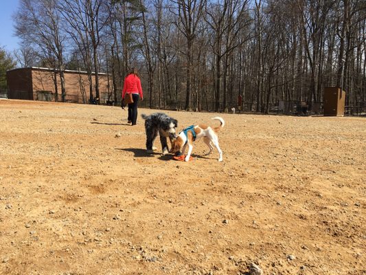 SOUTH RUN DOG PARK - Updated December 2025 - 18 Photos & 32 Reviews ...