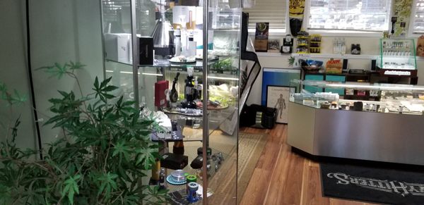 PURE LIFE COLLECTIVE - Updated December 2025 - 20 Photos & 43 Reviews ...